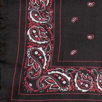 Black Bandana Wild Rag